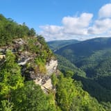 Wiseman's View Trail, North Carolina - 468 Reviews, Map | AllTrails