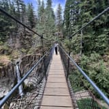 Drift Creek Suspension Bridge and Waterfall (Trail #1378), Oregon ...