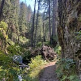 Multnomah Falls Trail, Oregon - 7,782 Reviews, Map | AllTrails