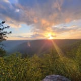 Black Forest North Loop Trail, Pennsylvania - 300 Reviews, Map | AllTrails