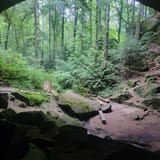 Natural Bridge Park Loop, Alabama - 302 Reviews, Map | AllTrails