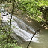 Roaring Run Trail, Virginia - 890 Reviews, Map | AllTrails