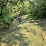 Paw Paw and Chinkapin Trail Loop, Kentucky - 496 Reviews, Map | AllTrails