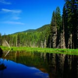 Raven Lake Trail, British Columbia, Canada - 141 Reviews, Map | AllTrails