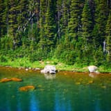 Raven Lake Trail, British Columbia, Canada - 141 Reviews, Map | AllTrails