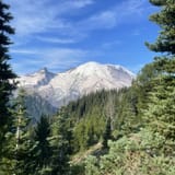 Silver Forest Trail, Washington - 566 Reviews, Map | AllTrails