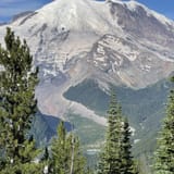 Silver Forest Trail, Washington - 566 Reviews, Map | AllTrails