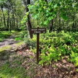 Mount Davis Pennsylvania Highpoint Trail, Pennsylvania - 785 Reviews ...