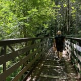 Mima Falls East Trail, Washington - 2,035 Reviews, Map | AllTrails