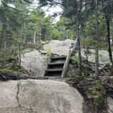 Stowe Pinnacle Trail, Vermont - 2,469 Reviews, Map | AllTrails