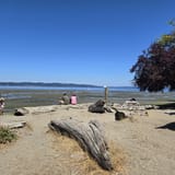 Dash Point Trail, Washington - 1,366 Reviews, Map | AllTrails