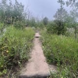 Turtle Rock Loop Trail, Wyoming - 1,401 Reviews, Map | AllTrails