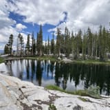 Ten Lakes Trail, California - 545 Reviews, Map | AllTrails