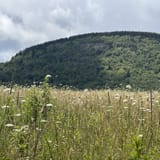 Sam's Knob and Little Sam Loop, North Carolina - 506 Reviews, Map ...