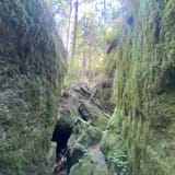 Talus Rocks Loop, Washington - 1,689 Reviews, Map | AllTrails