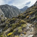 Sawmill Pass Trail, California - 69 Reviews, Map | AllTrails