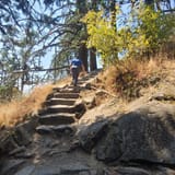 Spencer Butte Trail, Oregon - 3,169 Reviews, Map | AllTrails