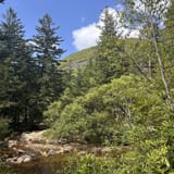 Sam's Knob and Little Sam Loop, North Carolina - 506 Reviews, Map ...