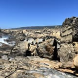 Salt Point Trail to Stump Beach, California - 755 Reviews, Map | AllTrails