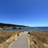 Salt Point Trail to Stump Beach, California - 755 Reviews, Map | AllTrails