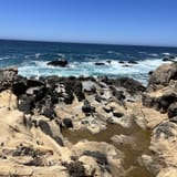 Salt Point Trail to Stump Beach, California - 725 Reviews, Map | AllTrails