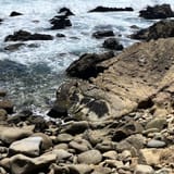 Salt Point Trail to Stump Beach, California - 755 Reviews, Map | AllTrails