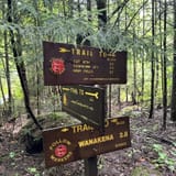Cat Mountain Trail, New York - 218 Reviews, Map | AllTrails