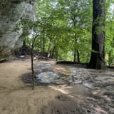 Raven Rock Loop Trail, North Carolina - 2,797 Reviews, Map | AllTrails