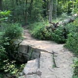 Cherokee Park Loop, Kentucky - 1,994 Reviews, Map | AllTrails