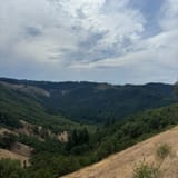 Weldon Wagon Road Trail, Washington - 532 Reviews, Map | AllTrails
