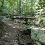 Roaring Run Trail, Virginia - 890 Reviews, Map | AllTrails