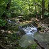Roaring Run Trail, Virginia - 890 Reviews, Map | AllTrails