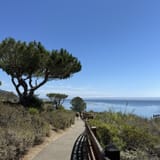 Shell Beach Bluff Trail, California - 127 Reviews, Map | AllTrails