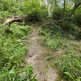 Rachel Carson Greenway and Northwest Branch Trail, Maryland - 1,353 ...