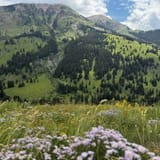 Lead King Basin and Crystal Mill Loop, Colorado - 190 Reviews, Map ...