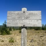 Hummocks Trail, Washington - 1,165 Reviews, Map | AllTrails