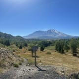 Hummocks Trail, Washington - 1,165 Reviews, Map | AllTrails