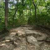 Mossy Ridge Trail, Tennessee - 7,268 Reviews, Map | AllTrails