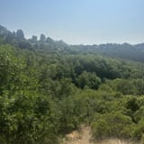 Round Top, Volcanic and Skyline Loop, California - 2,928 Reviews, Map ...