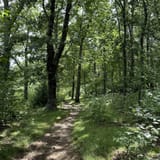 Black Ridge Trail, Virginia - 644 Reviews, Map | AllTrails