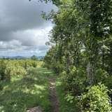 Black Ridge Trail, Virginia - 655 Reviews, Map | AllTrails
