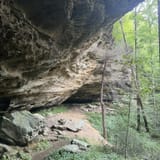 Koomer Ridge Trail, Kentucky - 635 Reviews, Map | AllTrails