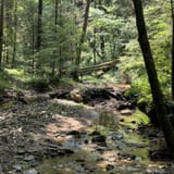 Koomer Ridge Trail, Kentucky - 635 Reviews, Map | AllTrails