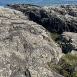 Scoville Point via Stoll Trail, Michigan - 475 Reviews, Map | AllTrails