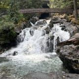 Deception Falls Interpretive Trail, Washington - 672 Reviews, Map ...