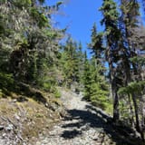 McClellan Butte Trail, Washington - 1,206 Reviews, Map | AllTrails