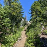 McClellan Butte Trail, Washington - 1,206 Reviews, Map | AllTrails