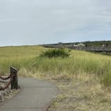 Long Beach Boardwalk and Discovery Trail Loop, Washington - 117 Reviews ...