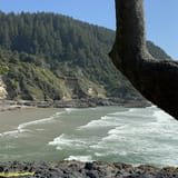 Devil's Churn, Trail of the Restless Way, and Captain Cook Loop, Oregon ...