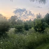 Luton Park Trail, Michigan - 1,106 Reviews, Map | AllTrails